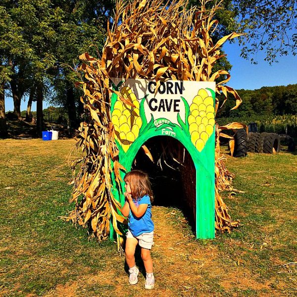 10 Reasons Why The Gaver Farm Fall Festival Really Packs In The Fun