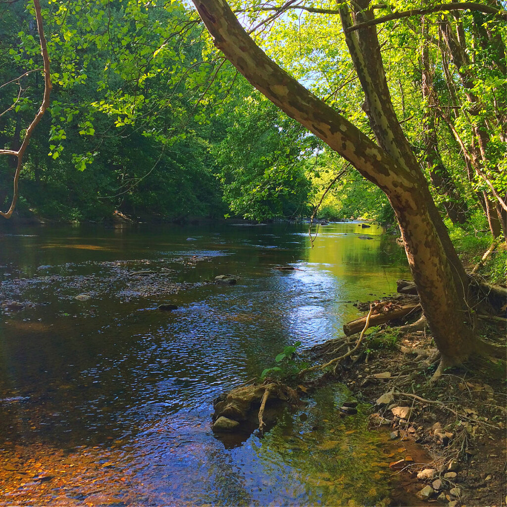 Patapsco Valley State Park Avalon and Orange Grove Areas Are Awesome ...