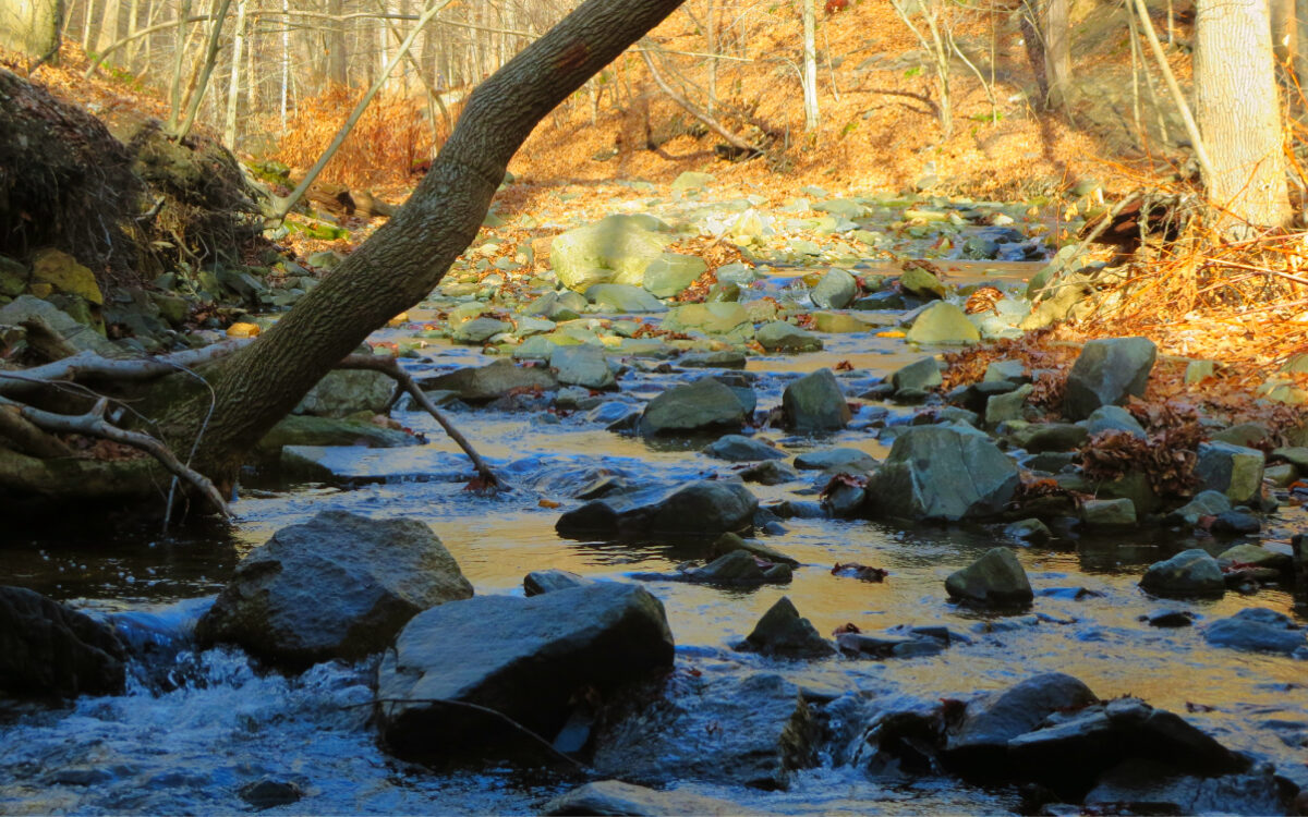 Patapsco Valley State Park Avalon and Orange Grove Areas Are Awesome ...