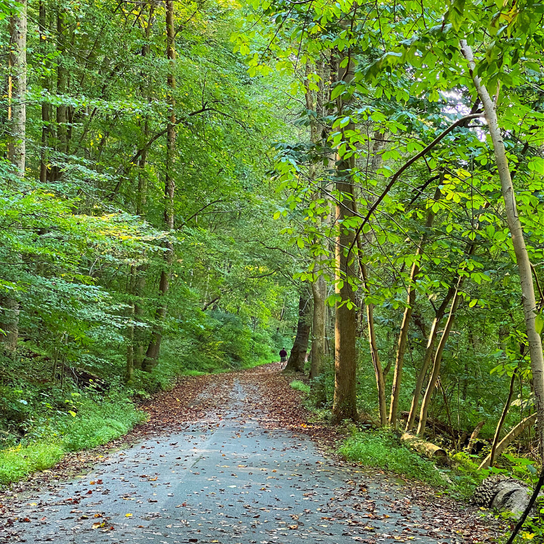 Patapsco Valley State Park Avalon and Orange Grove Areas Are Awesome ...