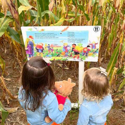 19 Reasons You Must Take Your Kids to Summers Farm This Fall!