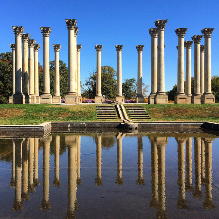 7 Reasons the U.S. National Arboretum Makes a Great Day Trip With Your ...