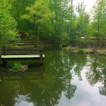 10 Nature Centers In Maryland That Will Spark Your Child's Love Of ...
