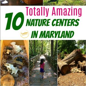 Kid Friendly Maryland- Family Fun in MD, DC, VA, and Beyond!
