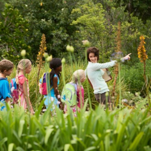10 Low Prep Outdoor Activities for Your Kids - Sunshine Whispers