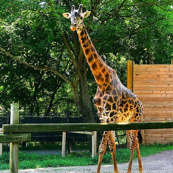 12 Fantastic Reasons To Visit Lehigh Valley With Kids - Sunshine Whispers