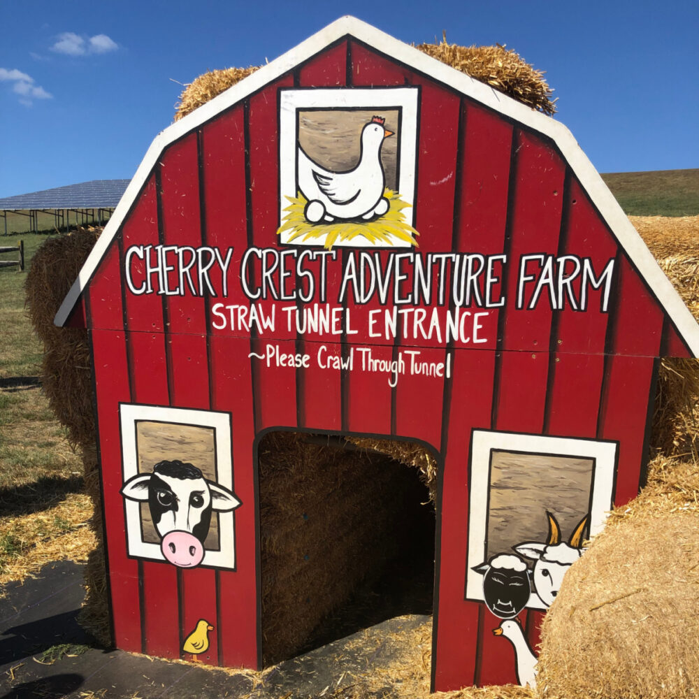 11+ Reasons You Absolutely Must Visit Cherry Crest Adventure Farm This ...
