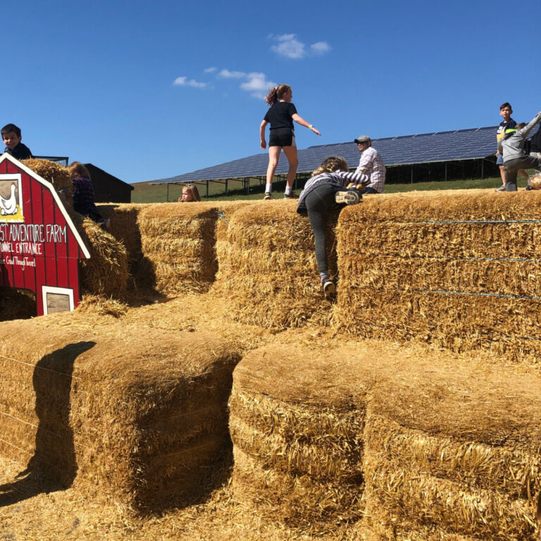 11+ Reasons You Absolutely Must Visit Cherry Crest Adventure Farm This ...