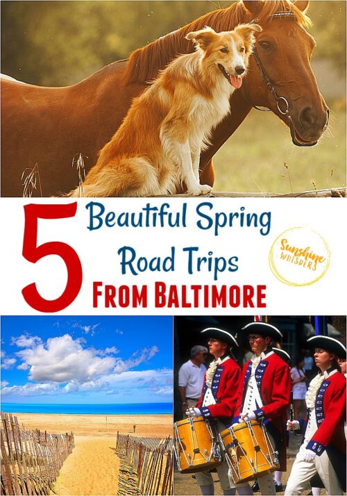 5 Beautiful Spring Road Trips from Baltimore - Sunshine Whispers