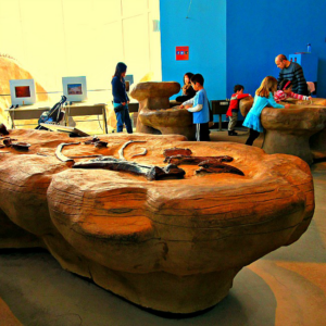 The Best 100 Things To Do In Maryland With Kids - Sunshine Whispers