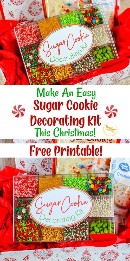 Make An Easy Sugar Cookie Decorating Kit This Christmas! (FREE ...