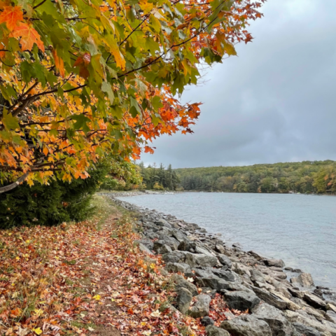 The Absolute Best Places To See Fall Foliage In Maryland - Sunshine ...