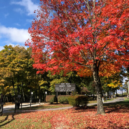 The Absolute Best Places To See Fall Foliage In Maryland - Sunshine ...