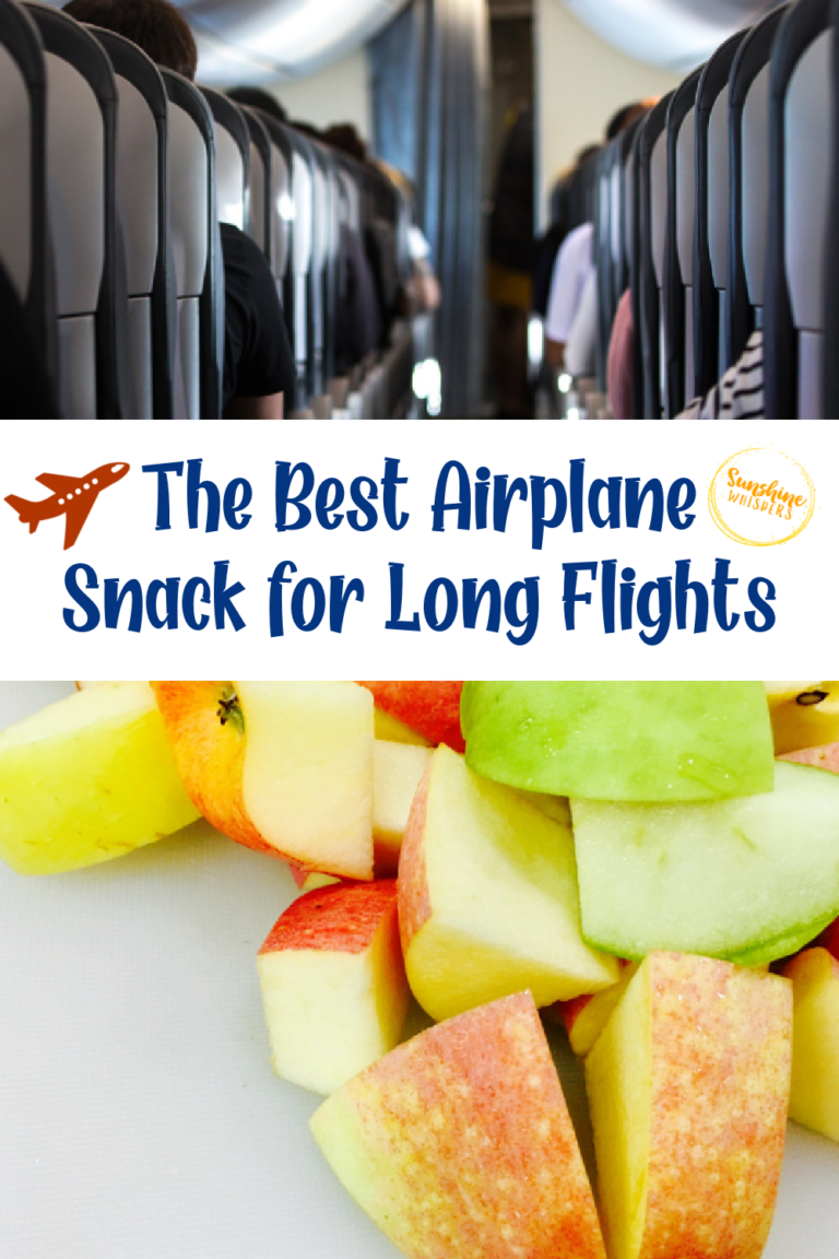 The Best Airplane Snacks for Long Flights - Sunshine Whispers