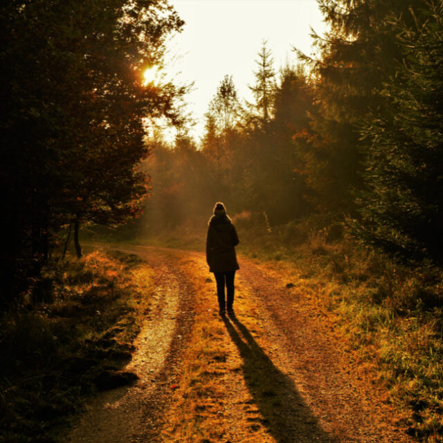 A Guide to Night Hikes: What You Need to Know - Sunshine Whispers