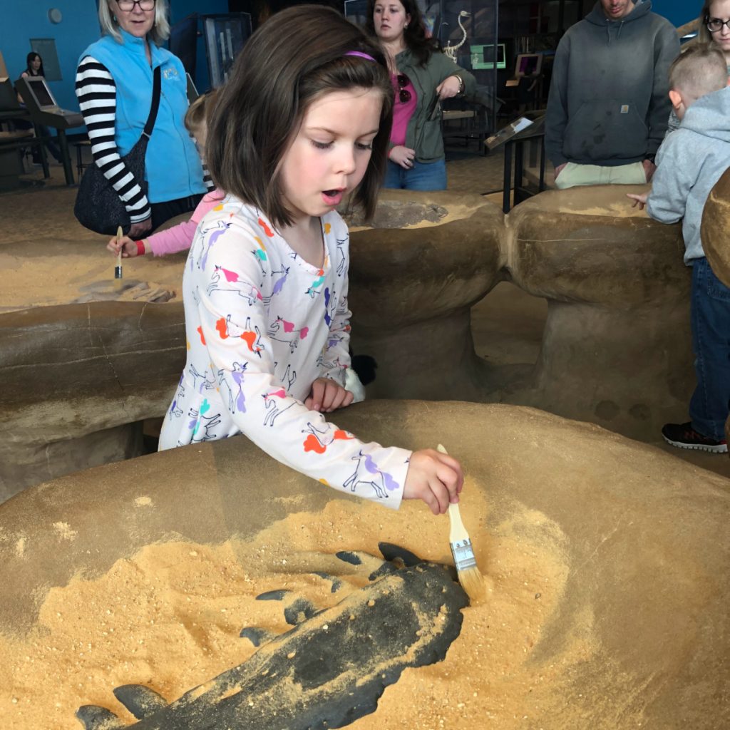 The Ultimate Guide to the Maryland Science Center - Sunshine Whispers