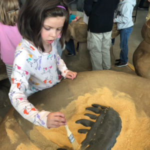The Ultimate Guide to the Maryland Science Center