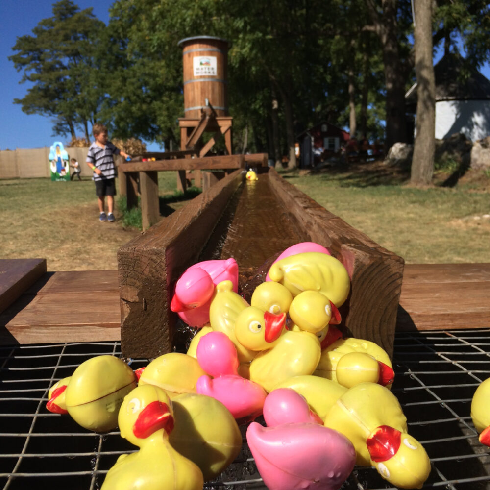 30+ Best Pumpkin Patches in Maryland for 2025 | U-Pick, Hayrides ...