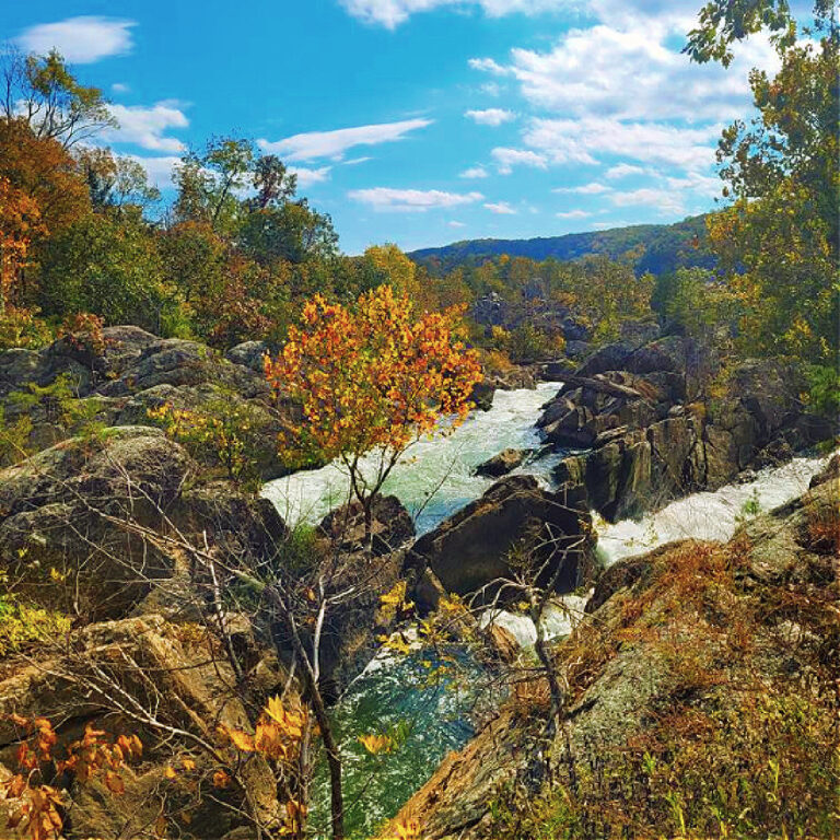 The Absolute Best Places To See Fall Foliage In Maryland - Sunshine ...