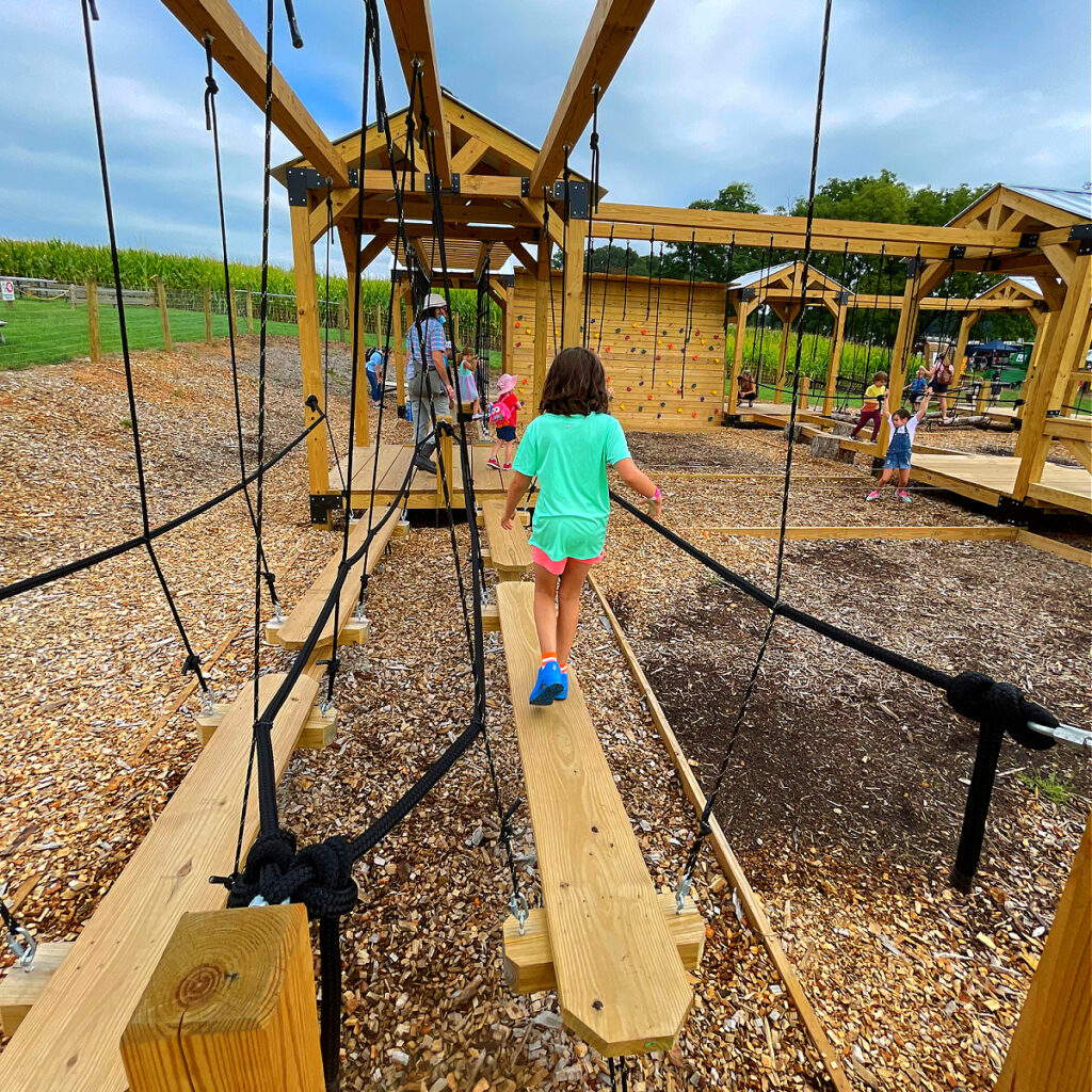 10+ Reasons Why the Gaver Farm Fall Festival Really Packs in the Fun!