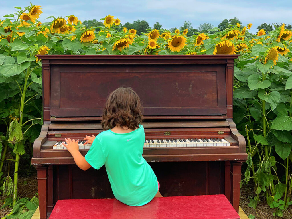 10+ Reasons Why the Gaver Farm Fall Festival Really Packs in the Fun!