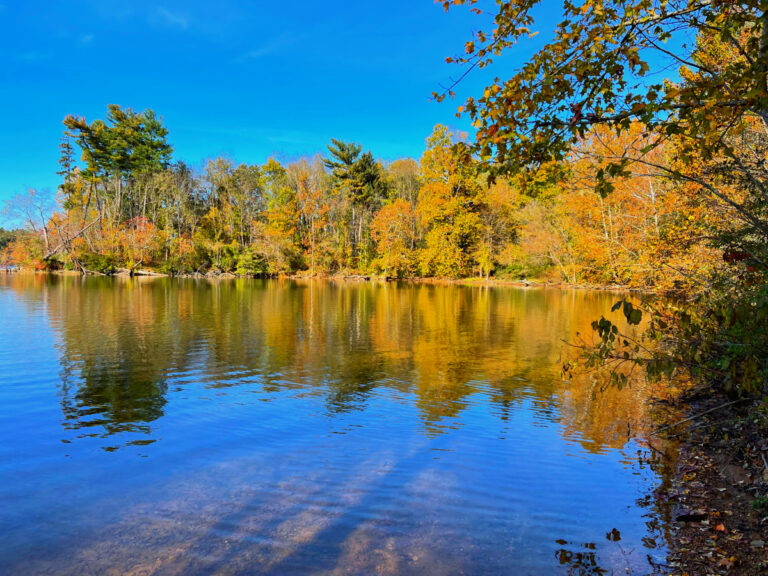 The Absolute Best Places To See Fall Foliage In Maryland - Sunshine ...
