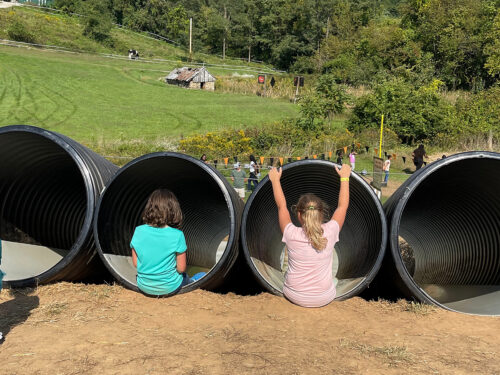 19 Reasons You Must Take Your Kids to Summers Farm This Fall!