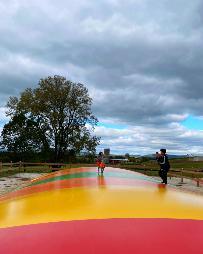 19 Reasons You Must Take Your Kids to Summers Farm This Fall!