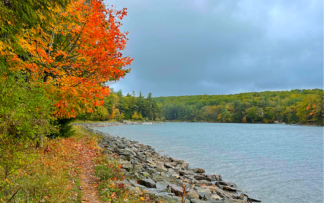 19 Best Day and Weekend Trips from Baltimore for Families! - Sunshine ...