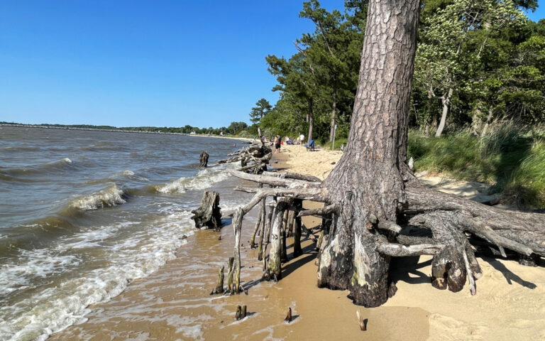 19 Best Day and Weekend Trips from Baltimore for Families! - Sunshine ...