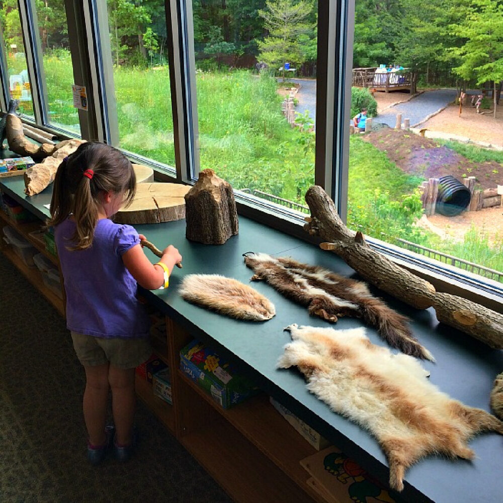 15+ Amazing Nature Centers in Maryland - Sunshine Whispers