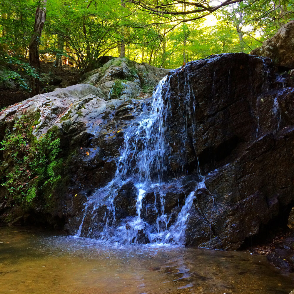 8+ Gorgeous Waterfalls In Maryland - Sunshine Whispers