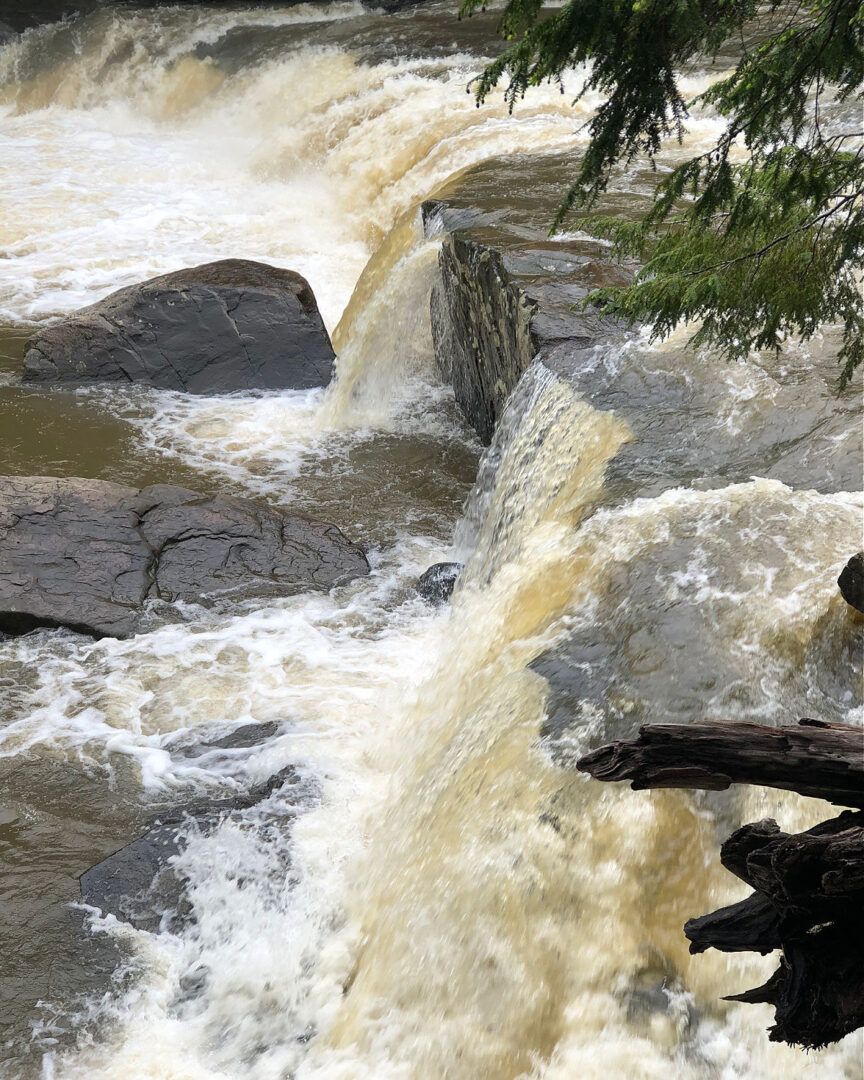 8+ Gorgeous Waterfalls In Maryland - Sunshine Whispers