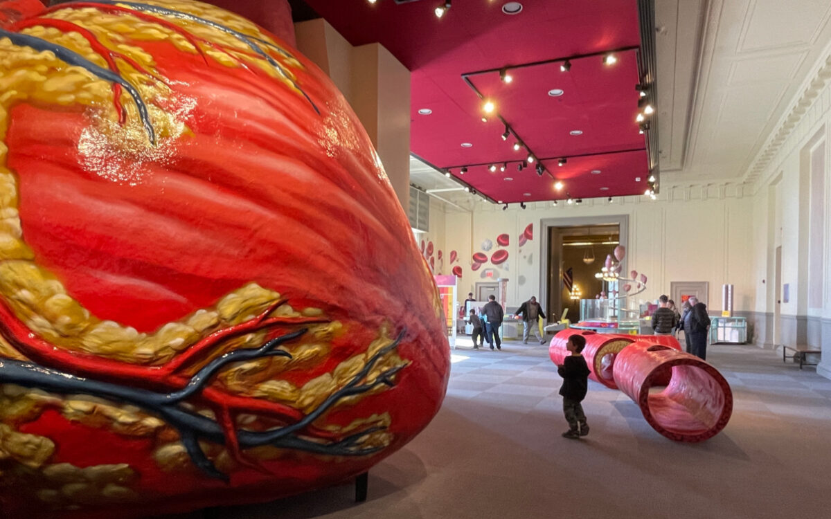 The Franklin Institute in Philadelphia: Kid Friendly Guide - Sunshine ...