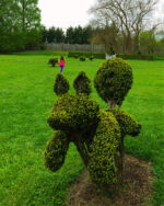 10 Reasons Ladew Topiary Gardens is Perfect for Kids! - Sunshine Whispers