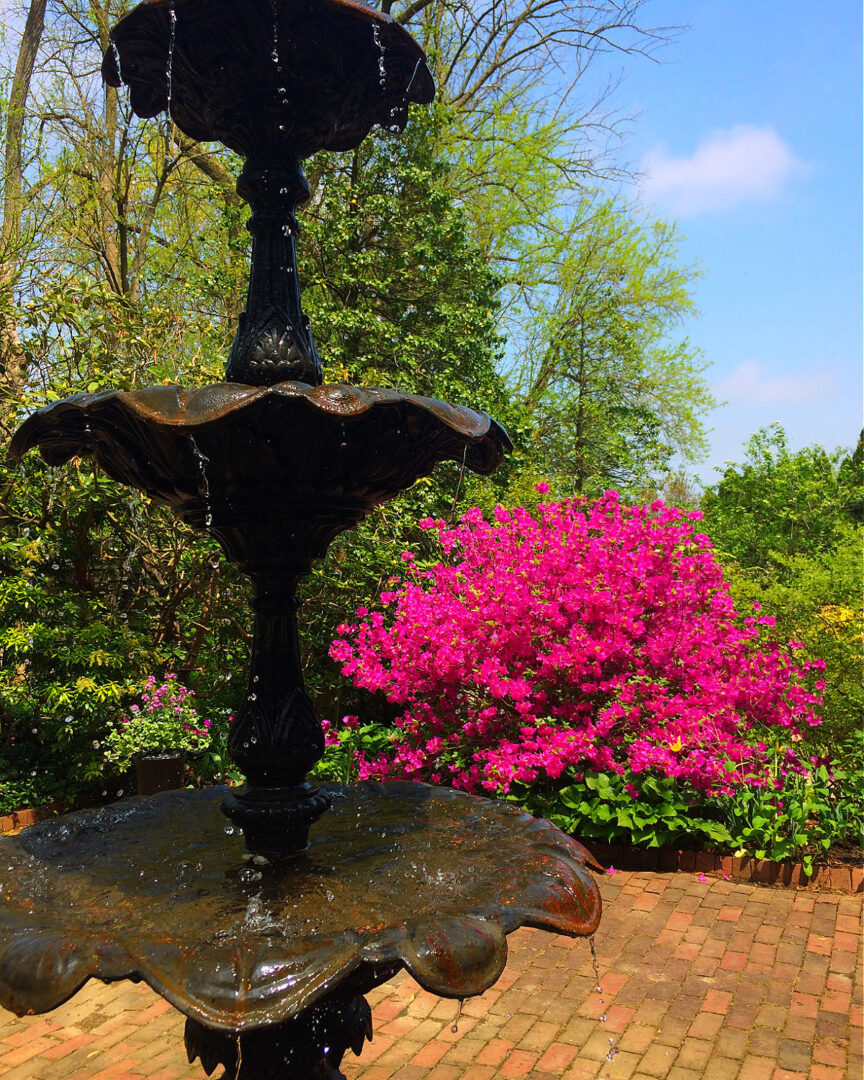 10 Reasons Ladew Topiary Gardens is Perfect for Kids! - Sunshine Whispers