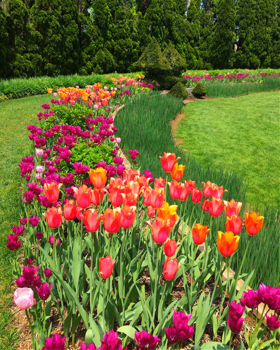 10 Reasons Ladew Topiary Gardens is Perfect for Kids! - Sunshine Whispers