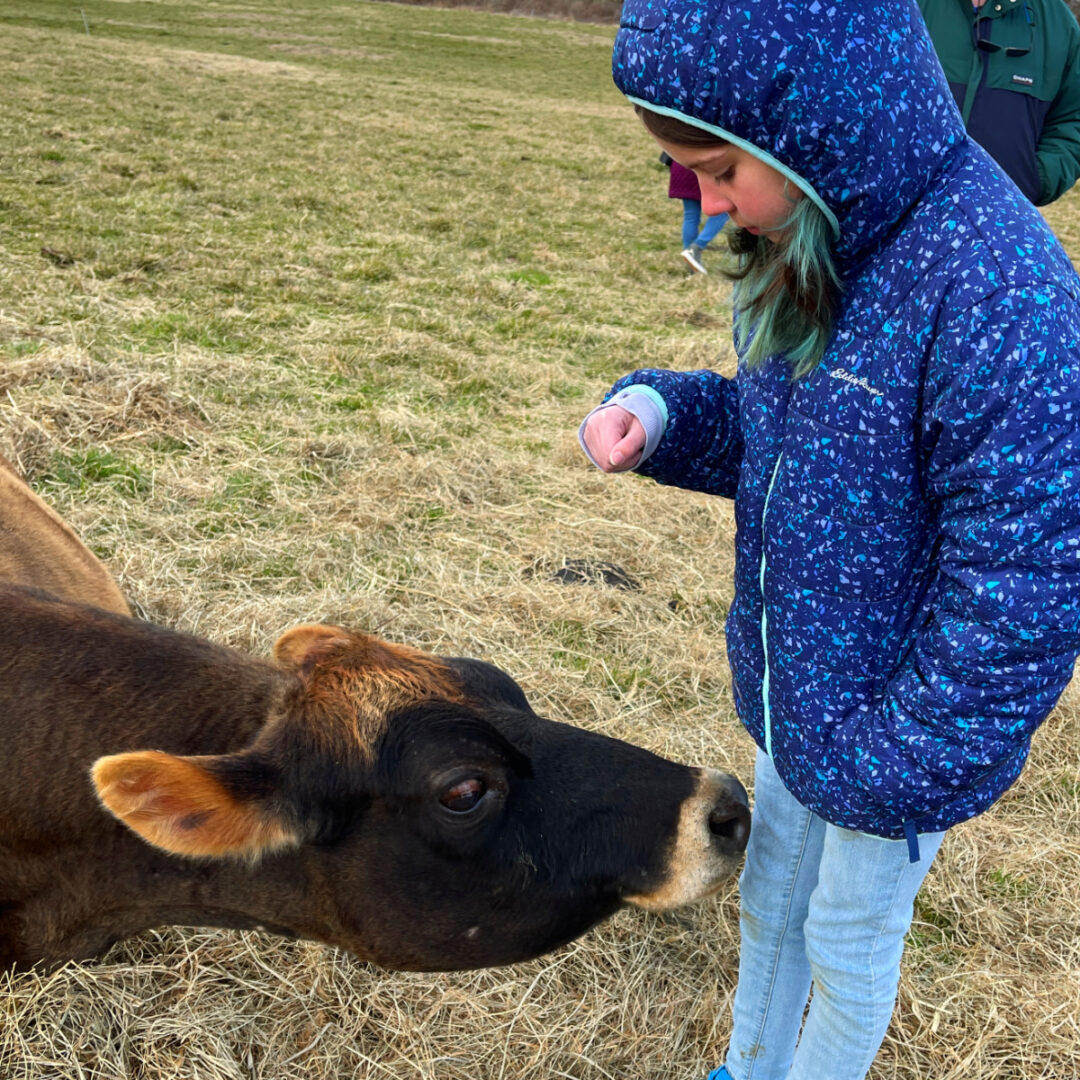 Family Fun at Prigel Family Creamery in Baltimore County - Sunshine ...