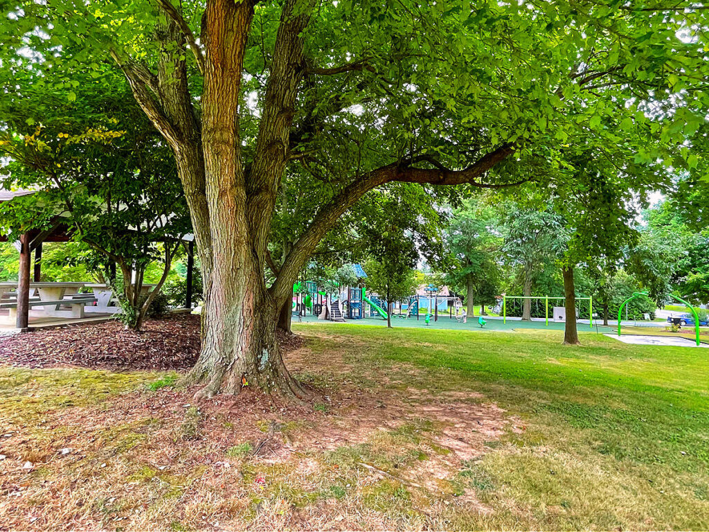 Day Trip Guide to Betterton Beach in Kent County - Sunshine Whispers