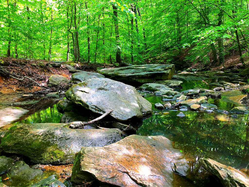 Double Rock Park in Parkville Kid Friendly Trail Guide - Sunshine Whispers