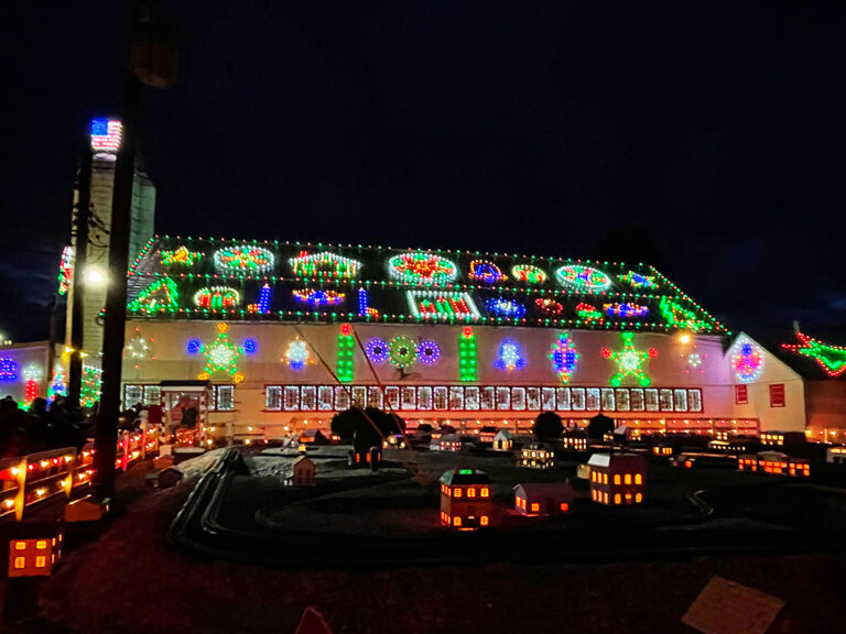 Koziar's Christmas Village: Kid Friendly Guide - Sunshine Whispers