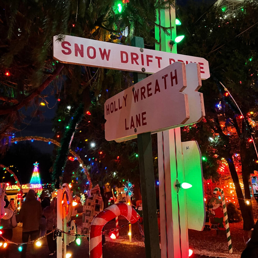 Koziar's Christmas Village: Kid Friendly Guide - Sunshine Whispers
