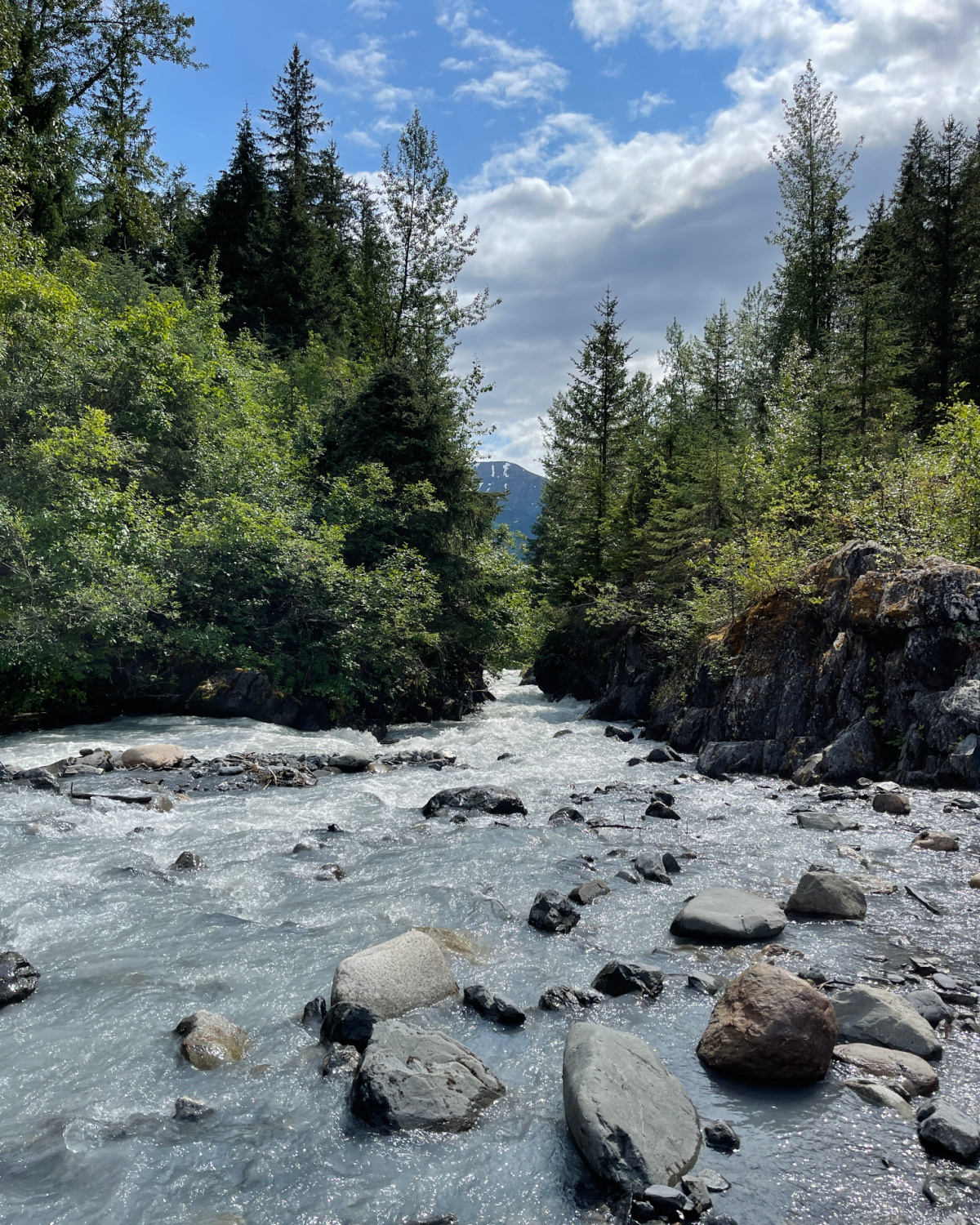 Crow Creek Gold Mine: A First-Time Visitor’s Guide to Alaska’s Historic ...