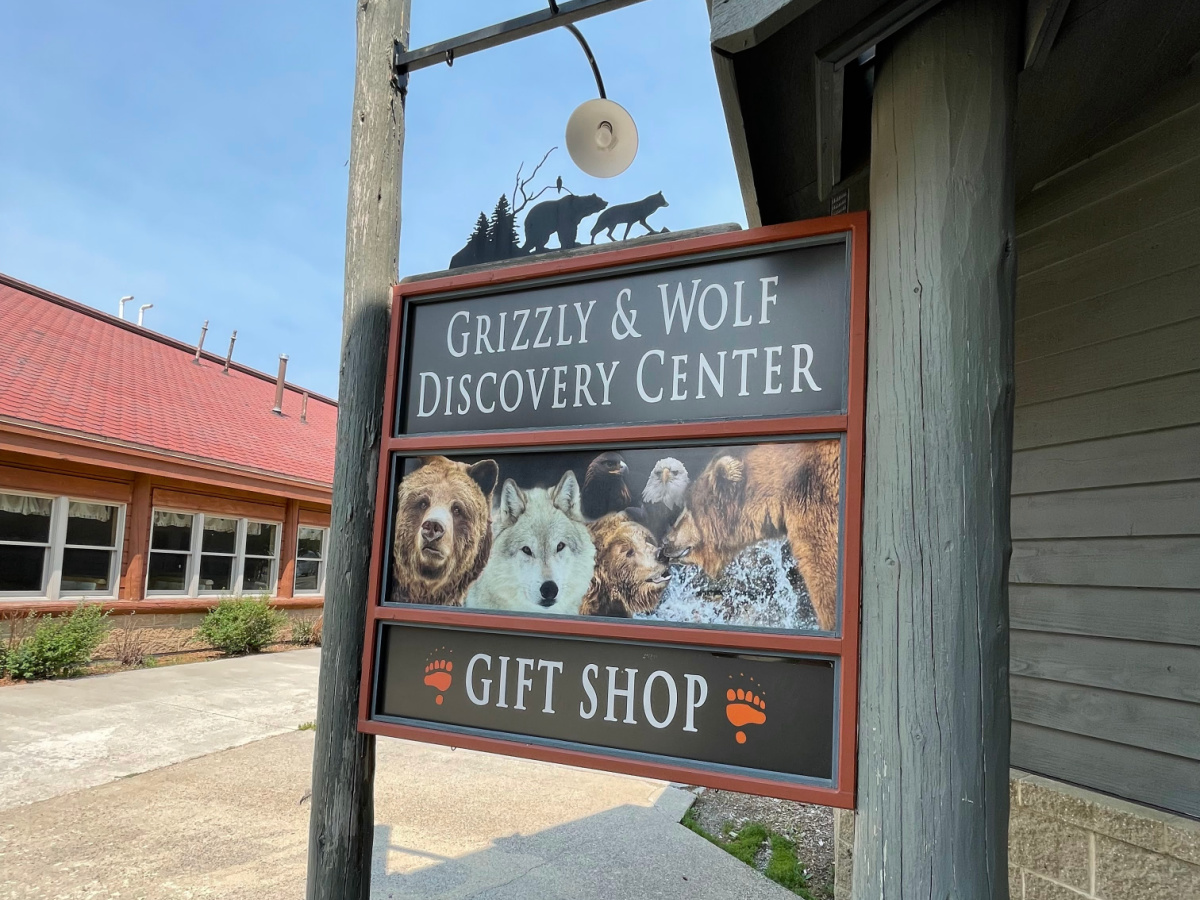 🐻 Grizzly and Wolf Discovery Center Review: A Must-See Stop in West ...