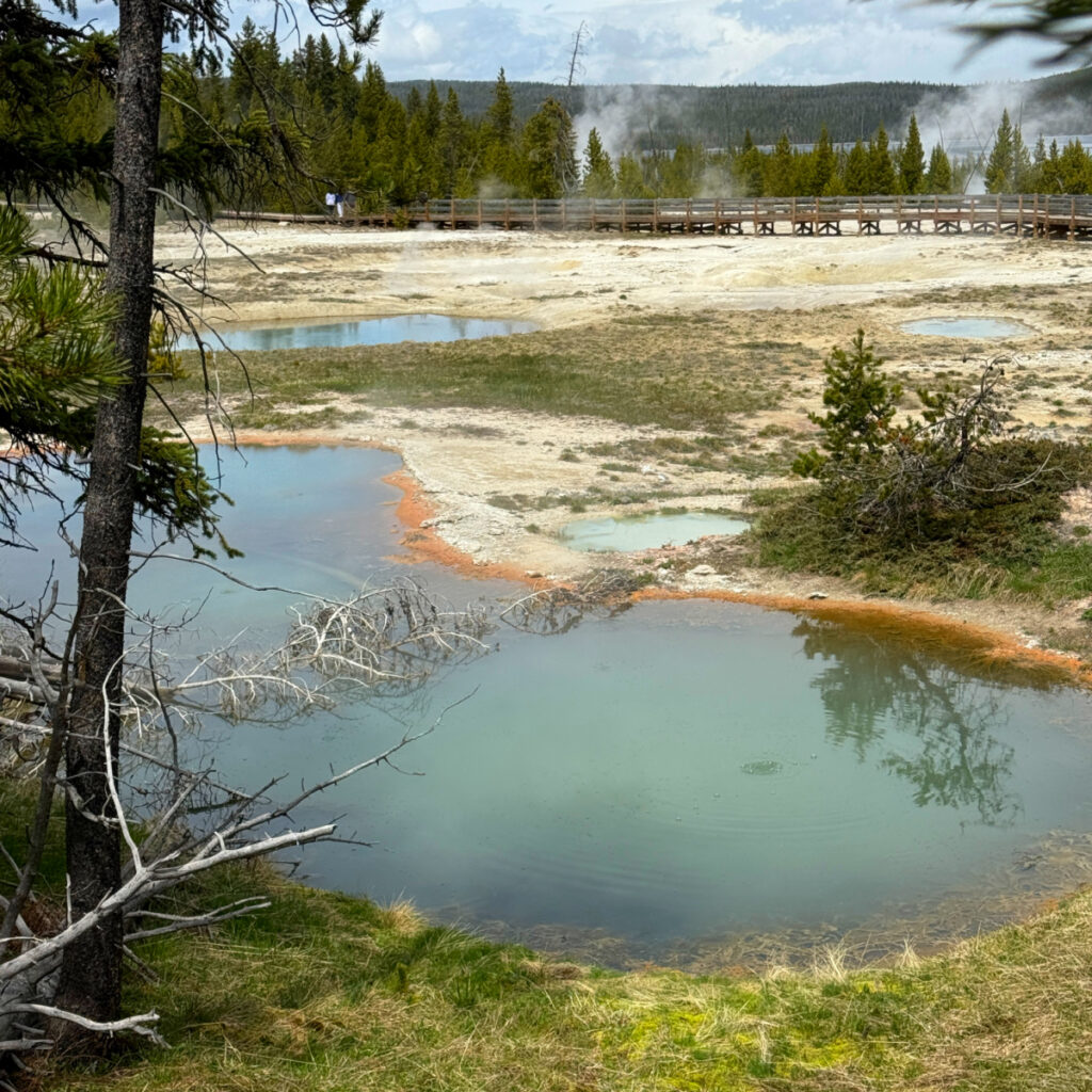 West Thumb Geyser Basin: Yellowstone’s Lakeside Wonderland - Sunshine ...