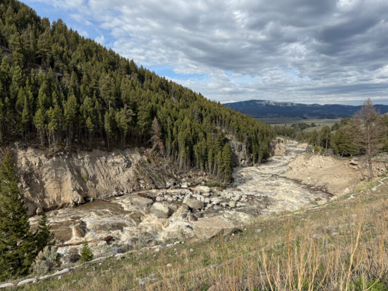Lamar Valley: The Best Place to Spot Wildlife in Yellowstone - Sunshine ...