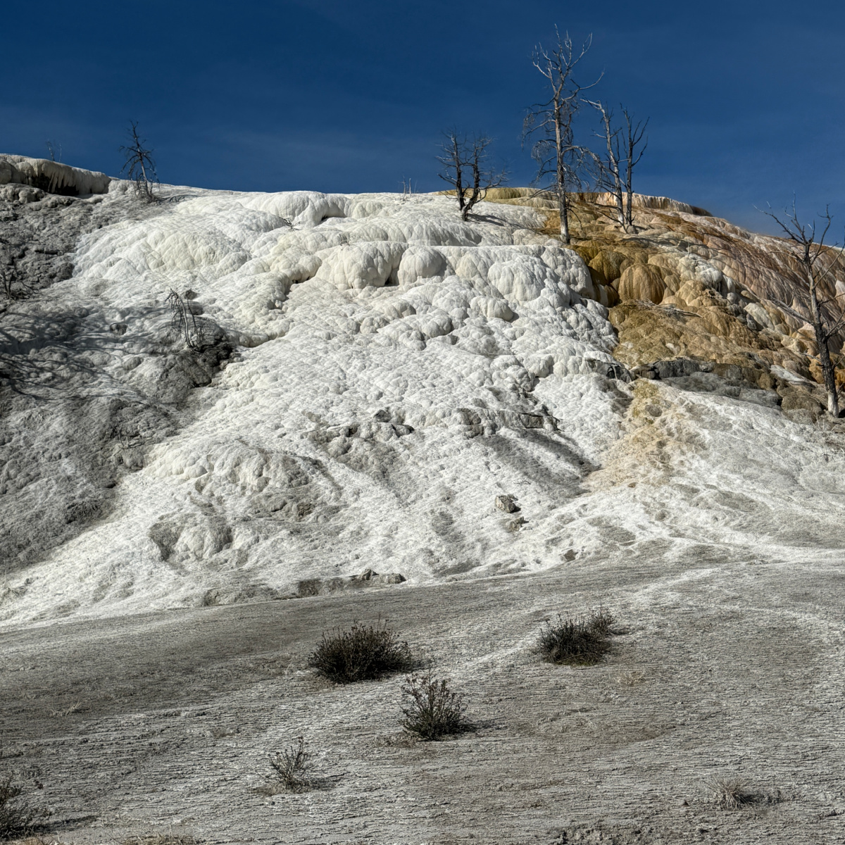 Exploring Mammoth Hot Springs Terraces in Yellowstone National Park ...