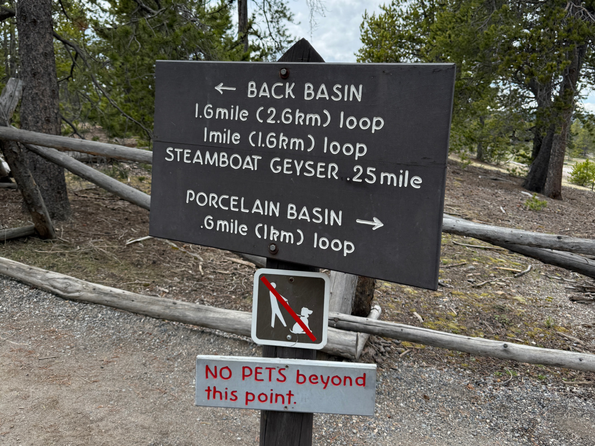 The Complete Guide to Norris Geyser Basin in Yellowstone National Park ...