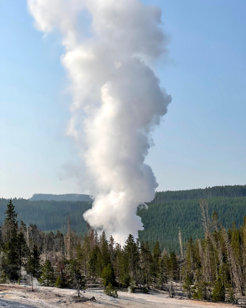 The Complete Guide to Norris Geyser Basin in Yellowstone National Park ...