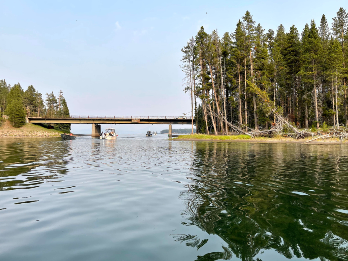 Yellowstone Lake: Scenic Stops, Family Tips, and a Private Boat Tour ...